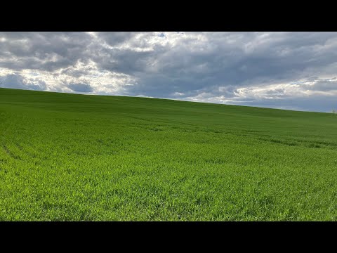 GALLERY STORY: The Meaning Of Life (2019-2021 Documentary)