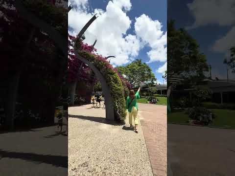 Immersive Garden of South Bank Australia 🇦🇺 #brisbane