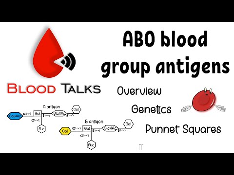 ABO Blood Group Explained | ABO Blood Group Antigen | Transfusion Medicine