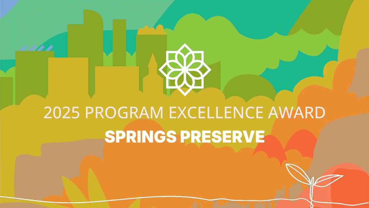 2025 Program Excellence