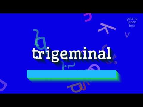 How to say "trigeminal"! (High Quality Voices)