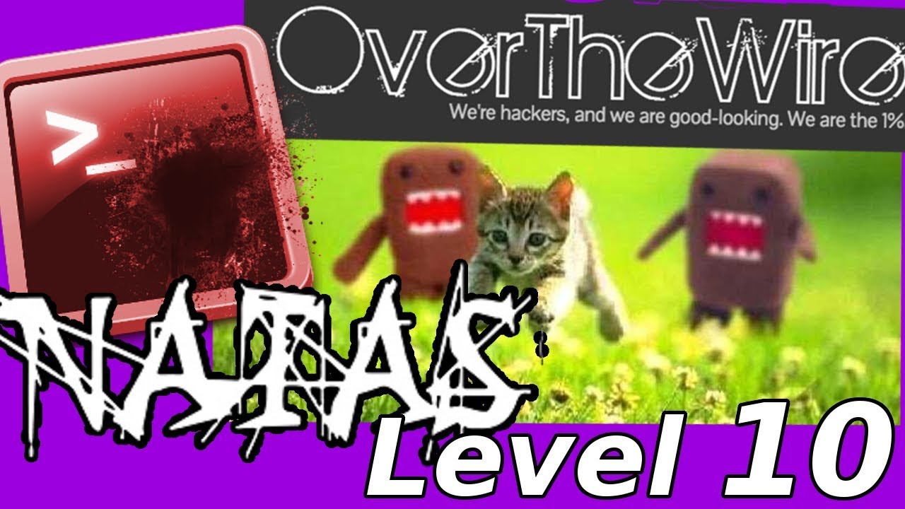 Python Web Hacking: Remote Code Execution | Natas: OverTheWire (Level 10)