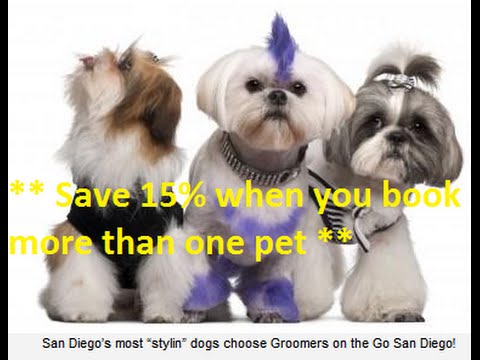 Dog Grooming San Diego - Mobile Dog Grooming Service