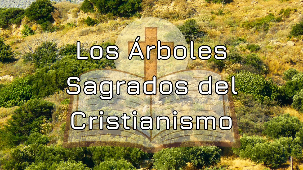 Los Árboles Sagrados del Cristianismo y su Significado Espiritual Profundo