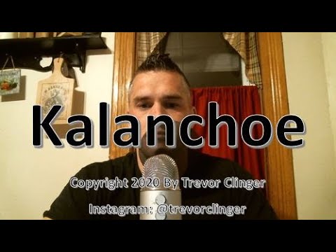 How To Pronounce Kalanchoe