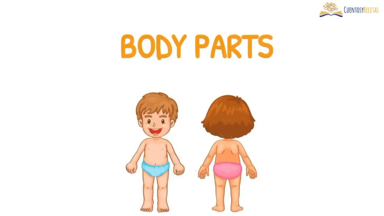 Flashcards Body Parts | Aprende las partes del cuerpo en inglés | CuentosyRecetas.com