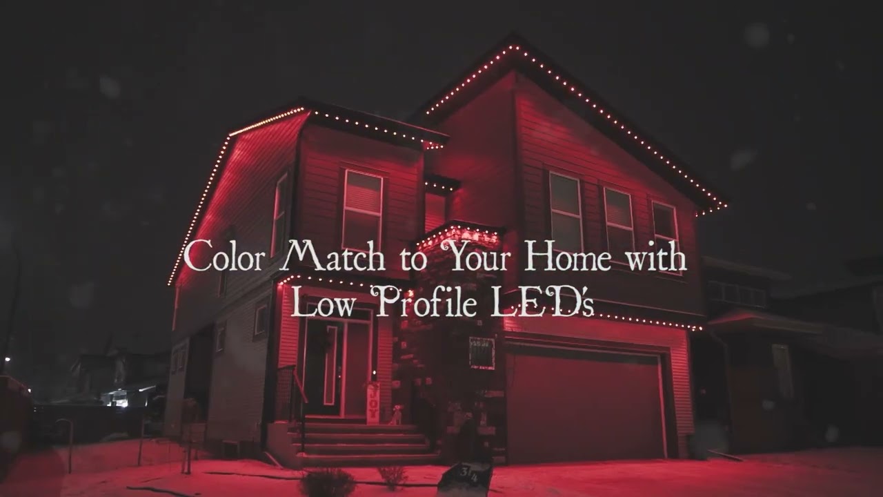 Fox - Holiday Lighting 2024
