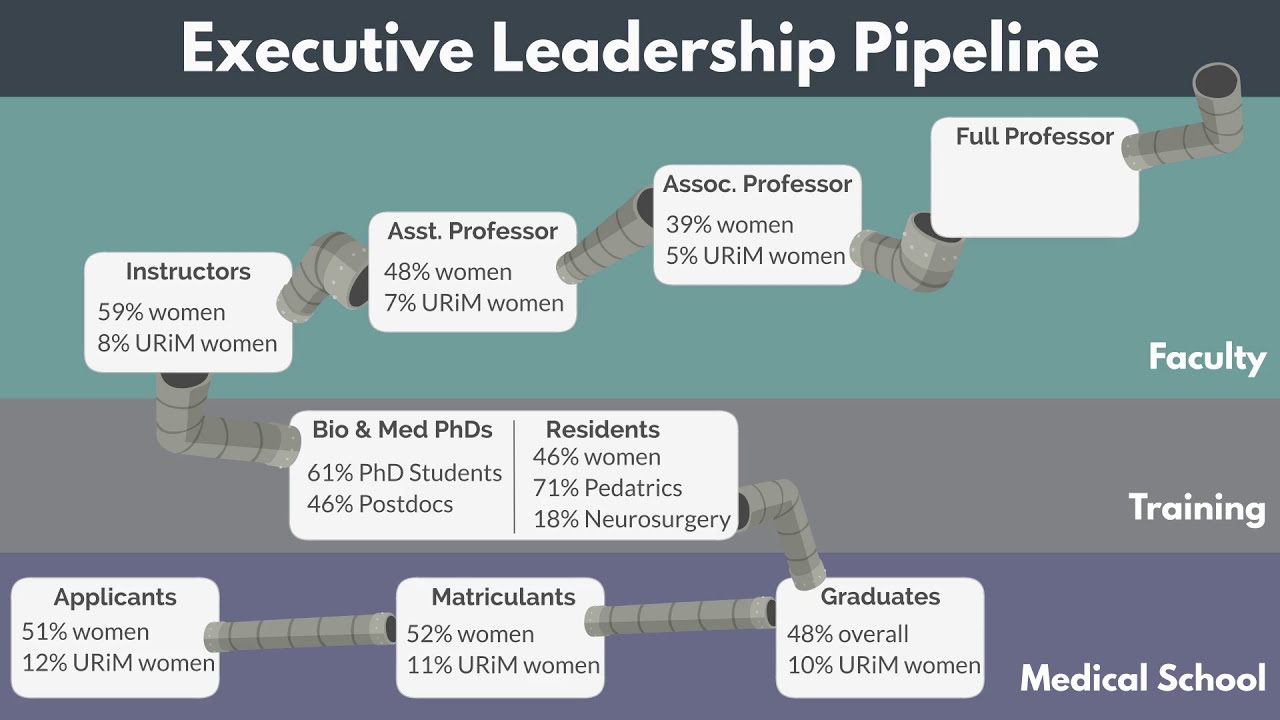 Roadmap for Advancing Gender Equity in Academic Medicine and Science