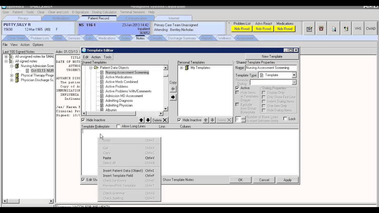 Health Summary Objects in the GUI