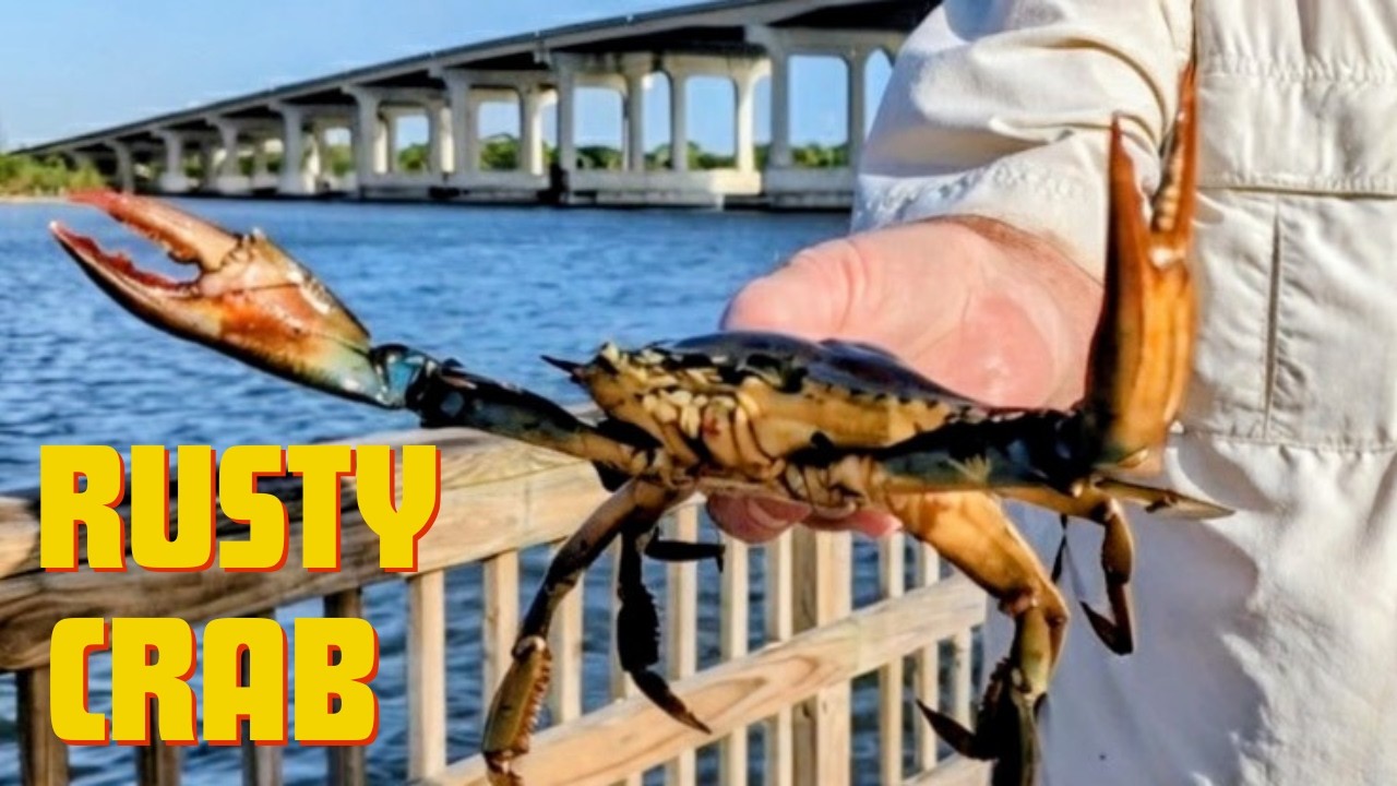 Crabbing off our Favorite Pier