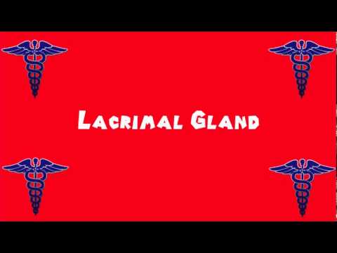 Pronounce Medical Words ― Lacrimal Gland