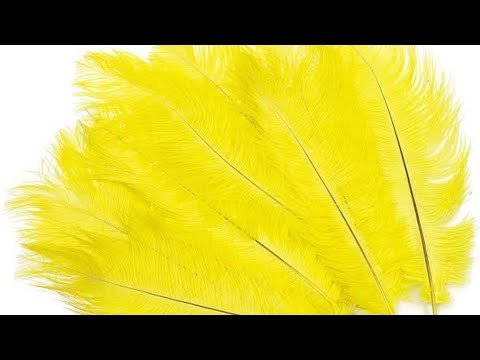 #yellow#Feather#🌈✨Yellow Feathers meaning in Hindi kya aapko Yellow Feathers dikhai deta hai ??🤔🕊️💞✨