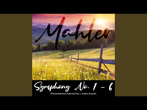 Symphony No. 4: IV. Sehr behaglich