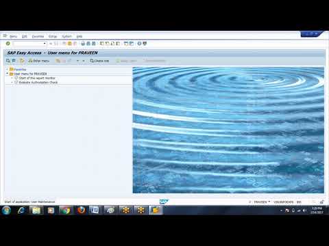 Day 5 - Profile & Role Concept in SAP