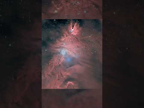Ngc2264 Cone nebula, Fox fur, Christmas tree Starless vs Stars versions