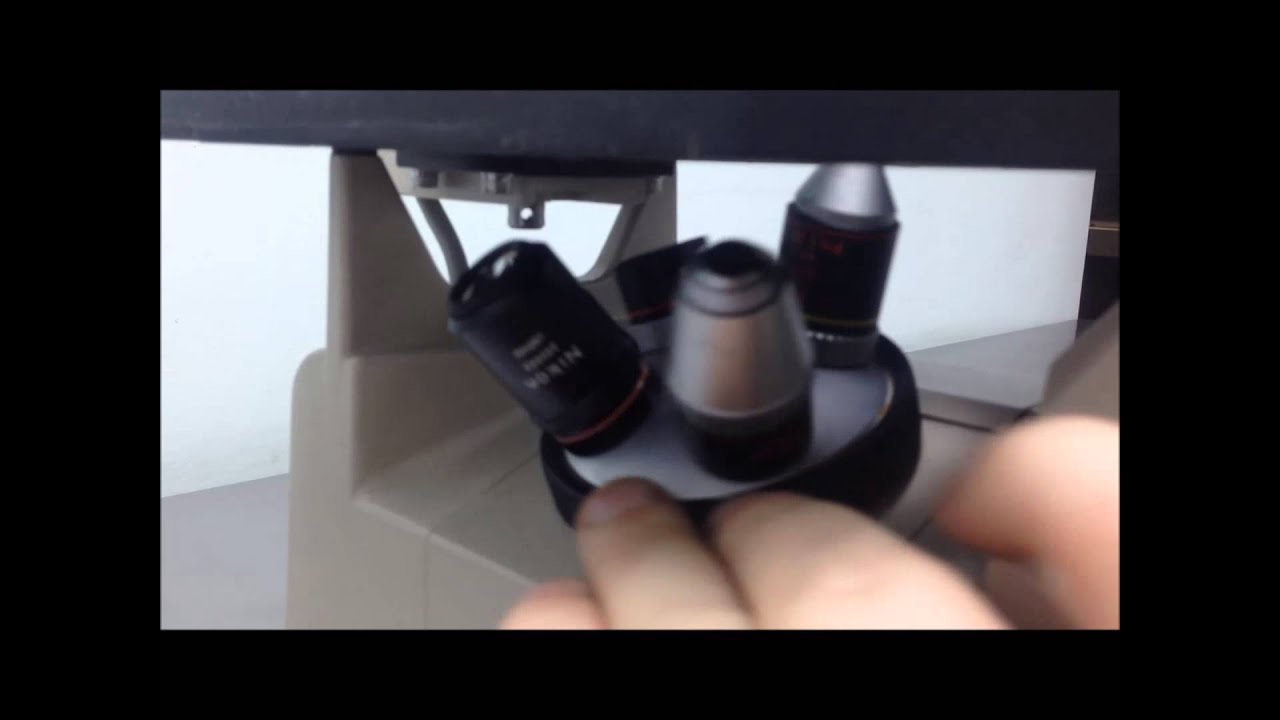 Nikon TMS Microscope