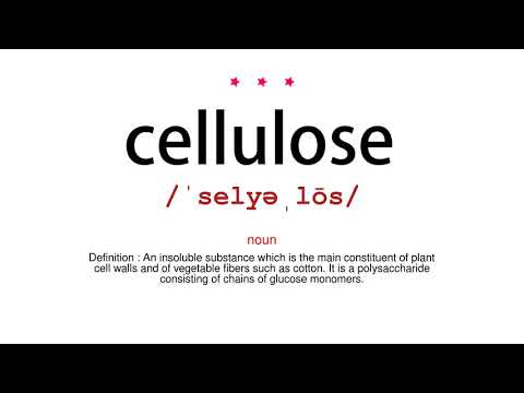 How to pronounce cellulose - Vocab Today