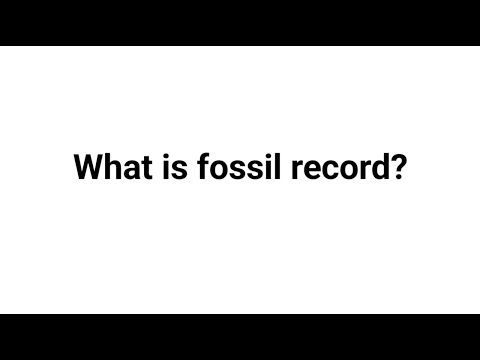 What is fossil record ?