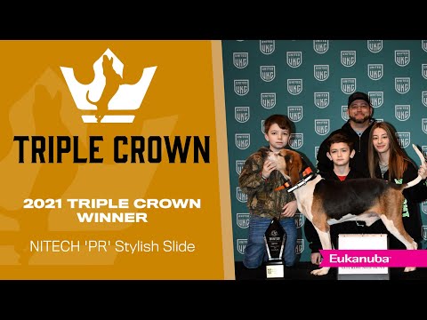 2021 UKC Triple Crown Winner Justin Wallace, with NITECH 'PR' Stylish Slide