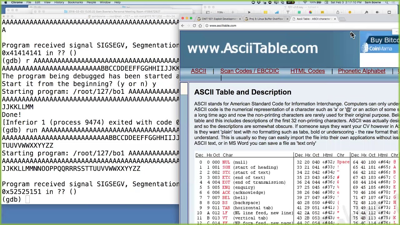 CNIT 127 Proj 3: Linux Buffer Overflow With Shellcode Demo