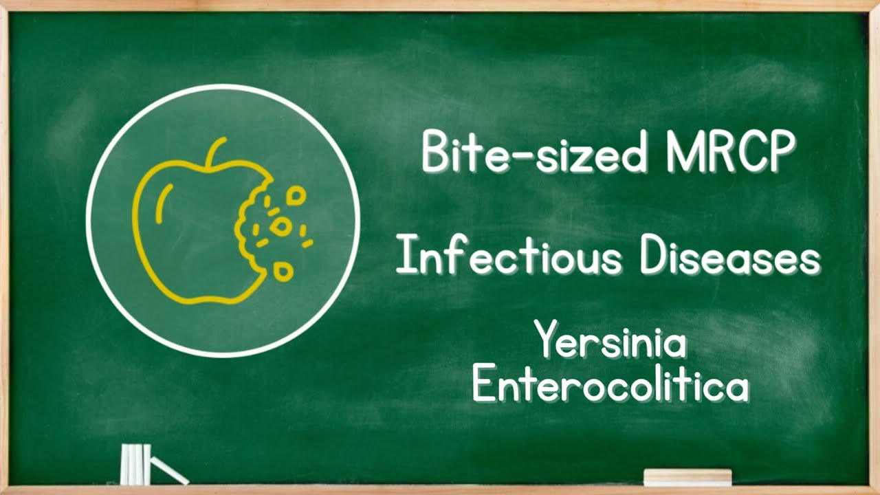 Infectious Diseases - Yersinia Enterocolitica - MRCP Exam Revision