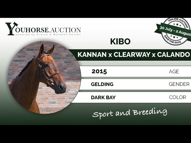 Youhorse.auction | Kibo W