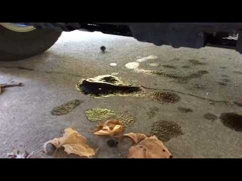 NTB oil change