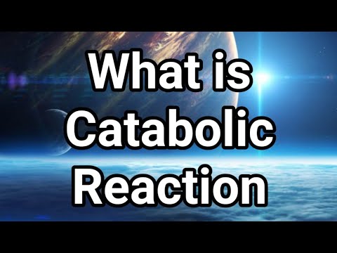 What is Catabolic Reaction. Urdu/ English