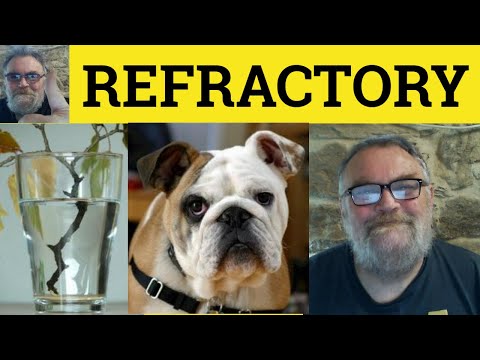 π΅ Refractory Meaning - Refract Definition - Refractory Examples - Describing People - Refractory