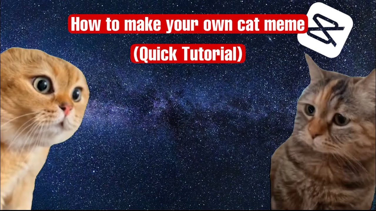 How to make your own cat meme (Quick Tutorial)