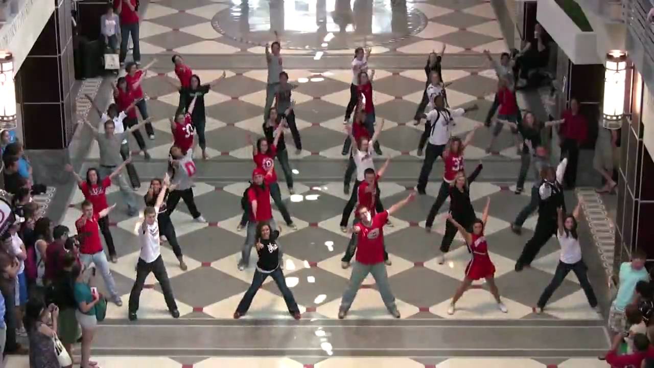 GLEE CAST -  FLASH MOB