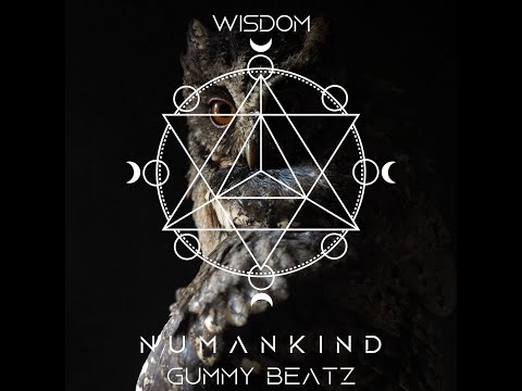 Steam Community :: Video :: Gummy Beatz x Numankind - "Wisdom" | NF x ...