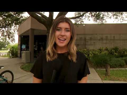 My Work – Allison Foy