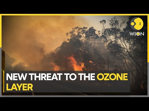 Australia's wildfires DAMAGE ozone layer | WION Climate Tracker