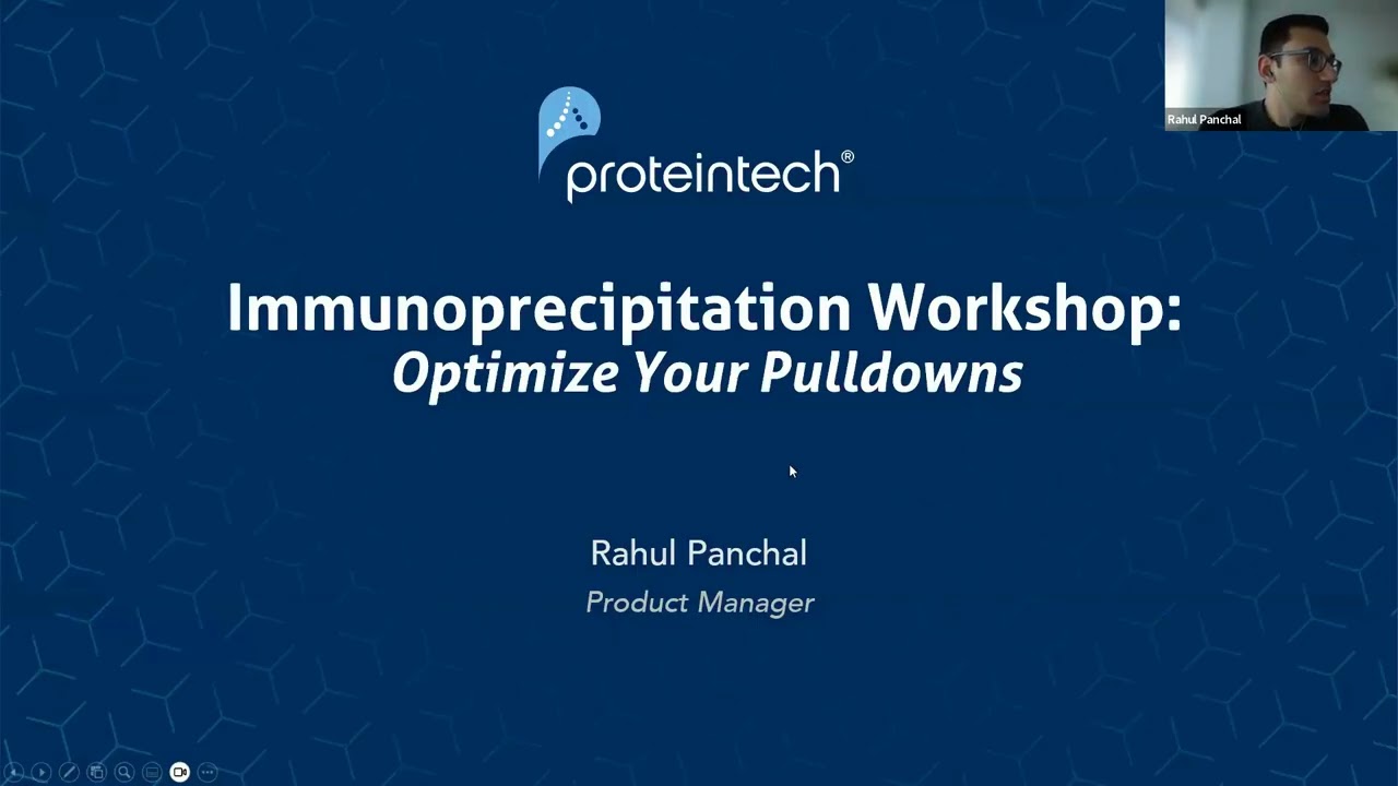 Immunoprecipitation: Optimize Your Pulldowns