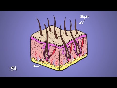 Why Does Hair Go Gray? | WebMD