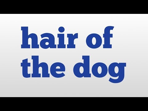 hair of the dog meaning and pronunciation