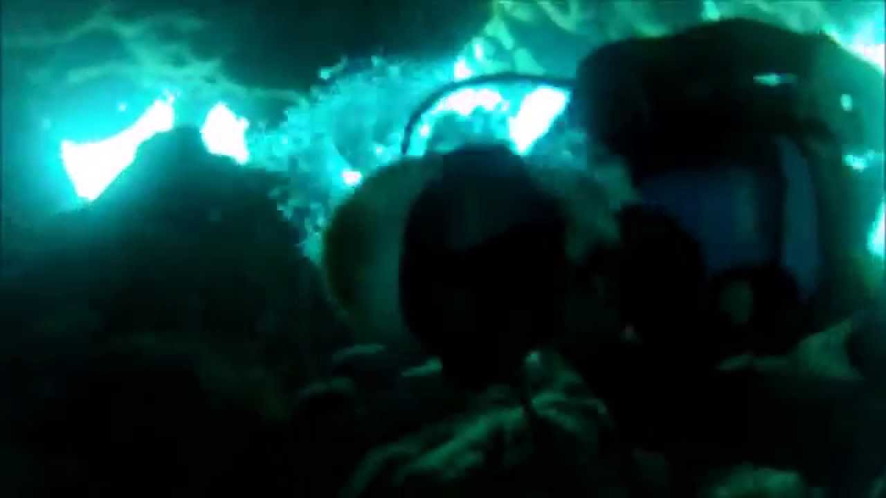 Operation Wallacea - Mexico 2014