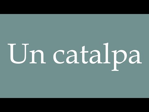 How to Pronounce ''Un catalpa'' (A catalpa) Correctly in French