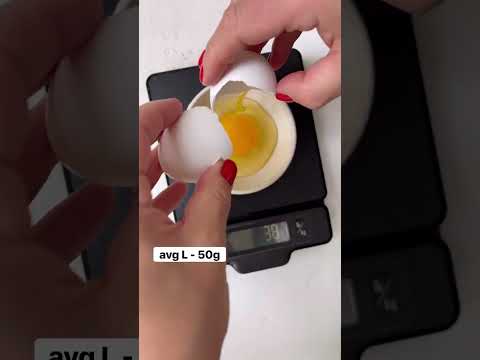 Why egg sizes matter