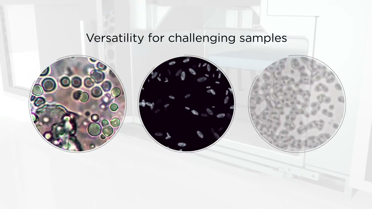 CytoFLEX SRT   Overview