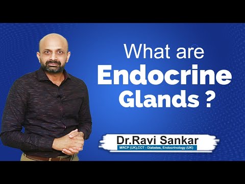 What are Endocrine Glands | Dr. Ravi Sankar Erukulapati, Senior Endocrinologist