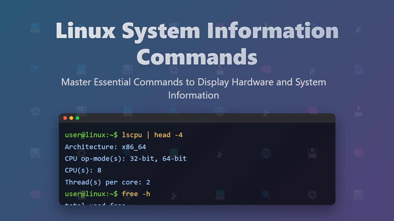 Linux System Information Commands: Essential Guide for Beginners