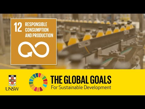 Sustainable Development Goal 12 - Responsible Consumption and Production - Sami Kara