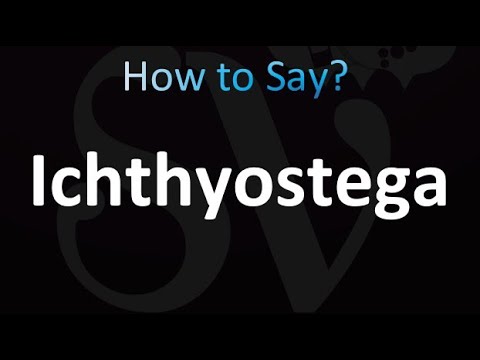 How to Pronounce Ichthyostega (correctly!)