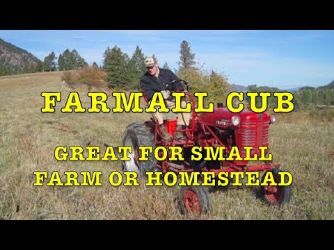 Farmall Cub: Great Tractor for Small Farm or Homestead
