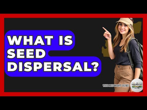 What Is Seed Dispersal? - The Midwest Guru