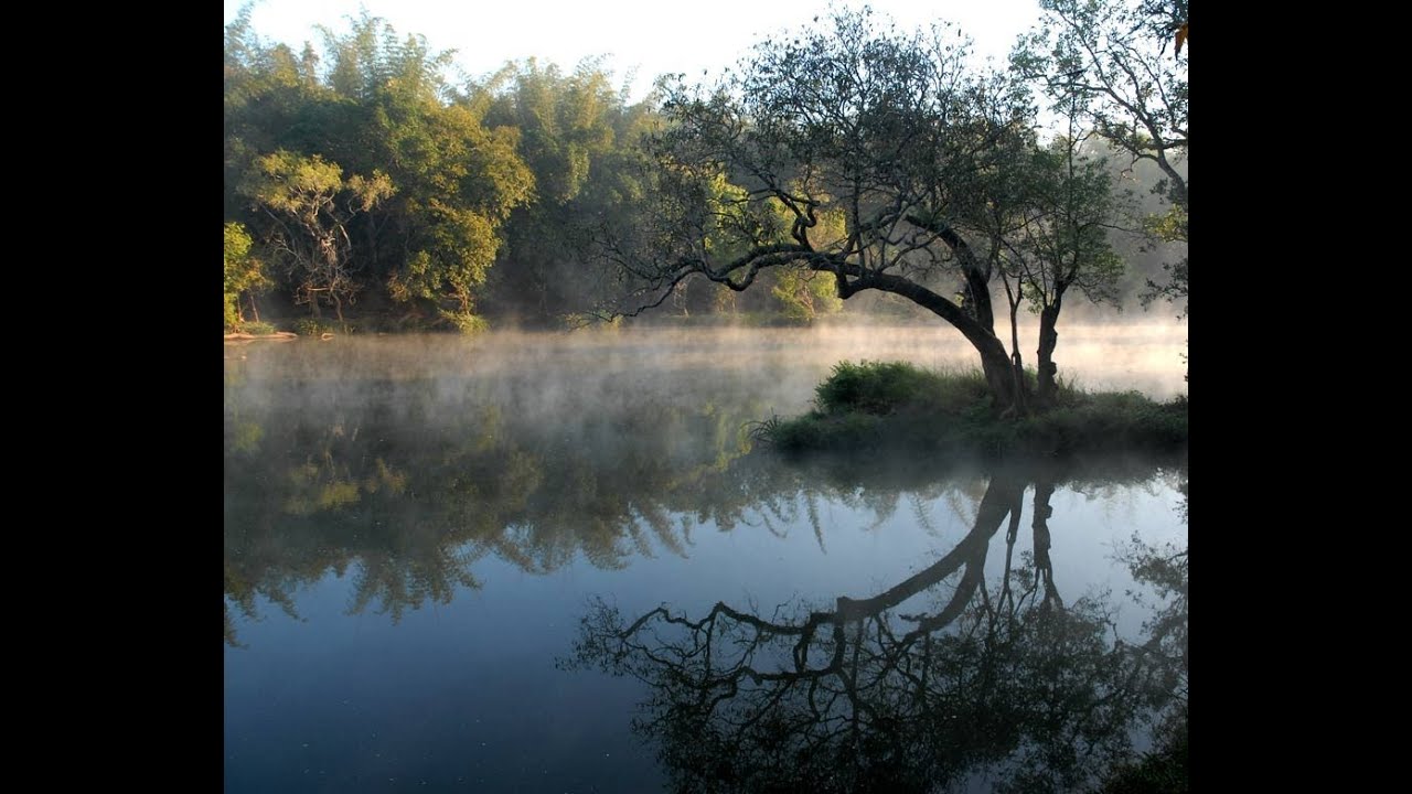 Mystic Coorg in Pictures