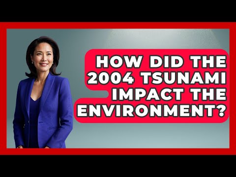 How Did The 2004 Tsunami Impact The Environment? - Weather Watchdog