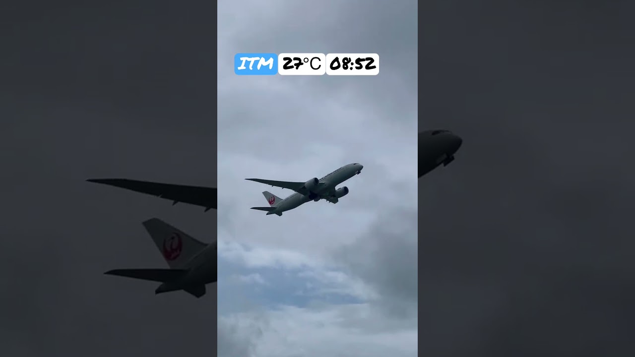 Boeing787 Dreamliner JAL Rainy Day Takeoff Osaka International Airport #jal #boeing787 #takeoff